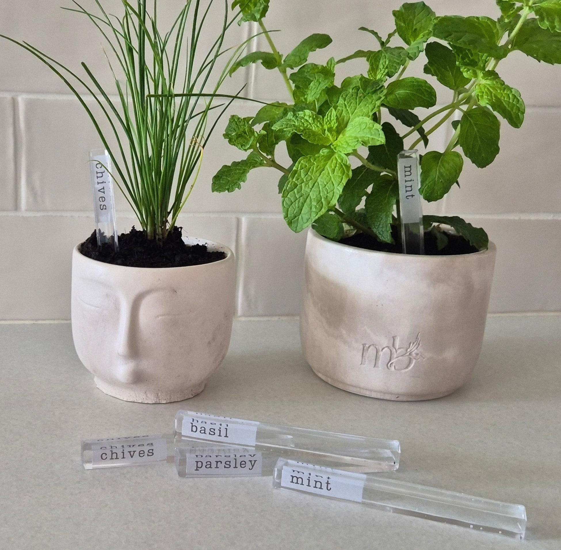 Planter Sticks - Herb – Mabel and Beryl